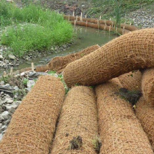 Sediment Control and Bioengineering | BonTerra