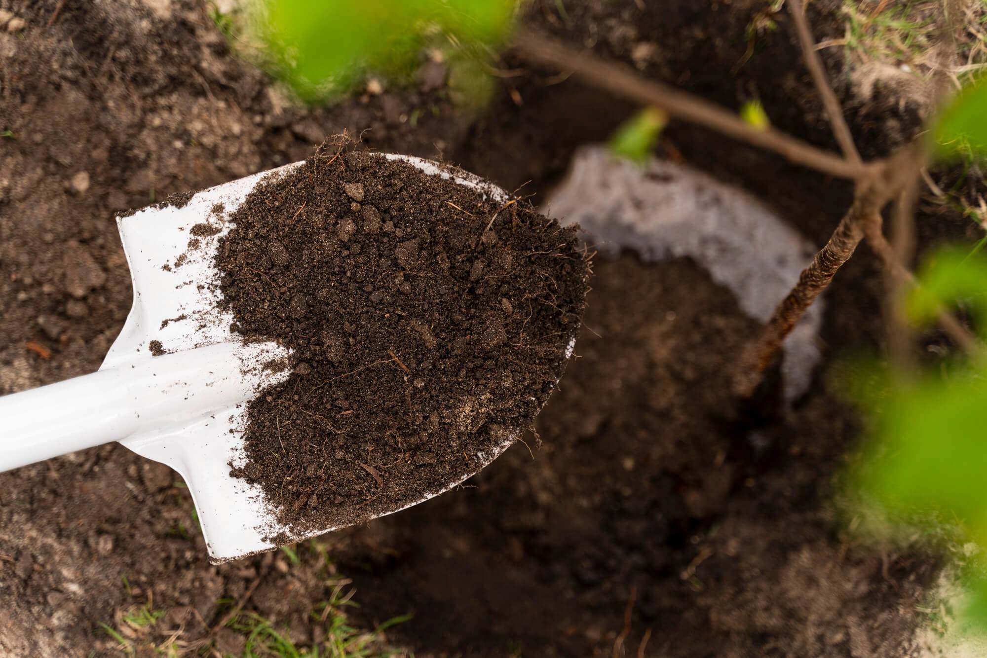 Soil Erosion Causes, Types, ways to Reduce and Prevent | Bonterra