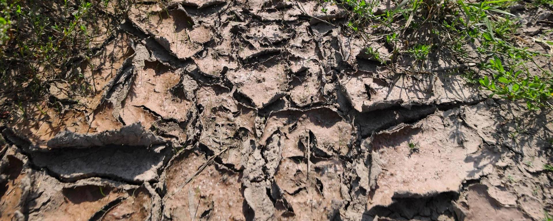 Soil Erosion Causes, Types, ways to Reduce and Prevent | Bonterra